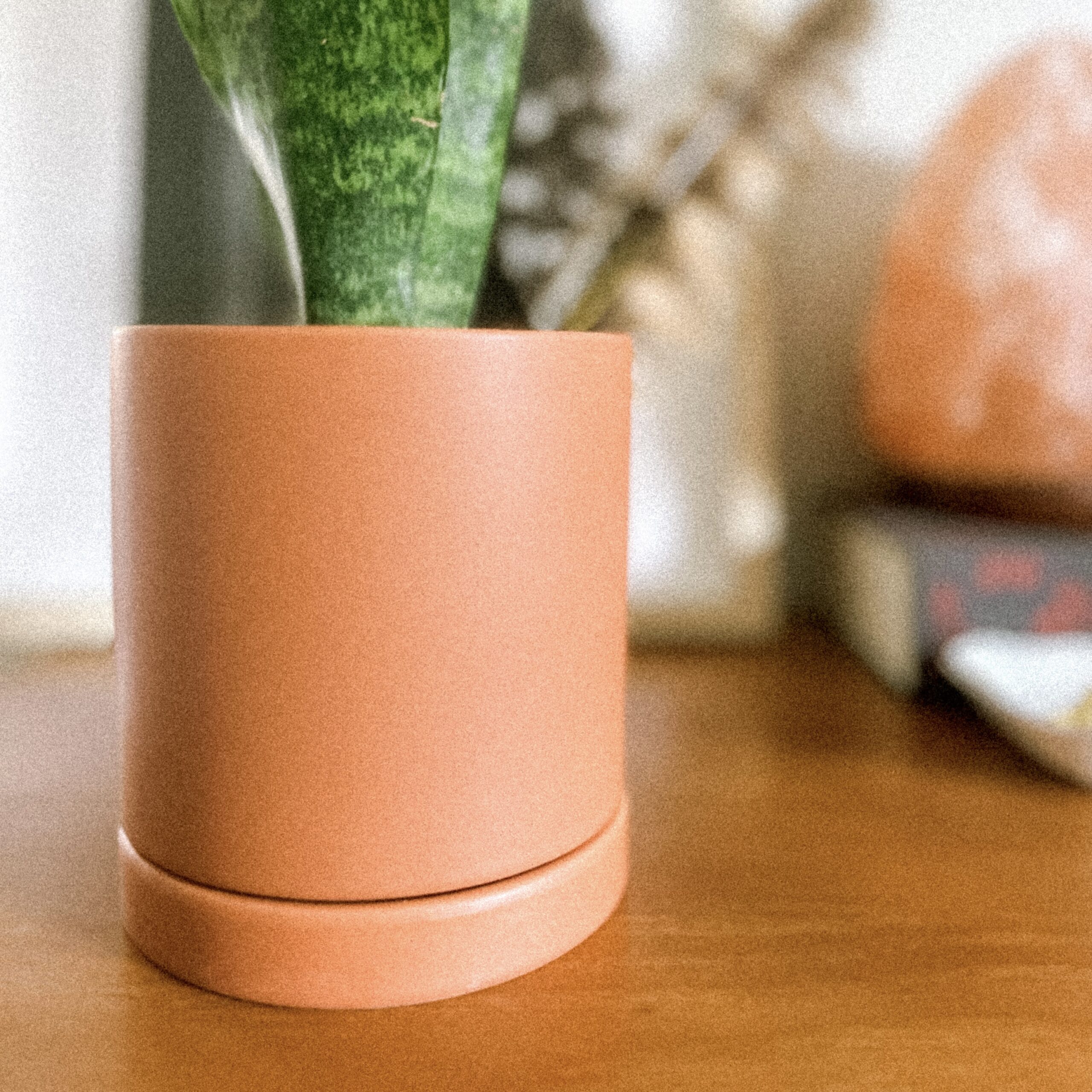 let's talk planters - pour tu
